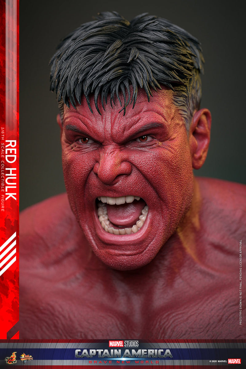 Red Hulk (Captain America: Brave New World) Sixth Scale Figure by Hot