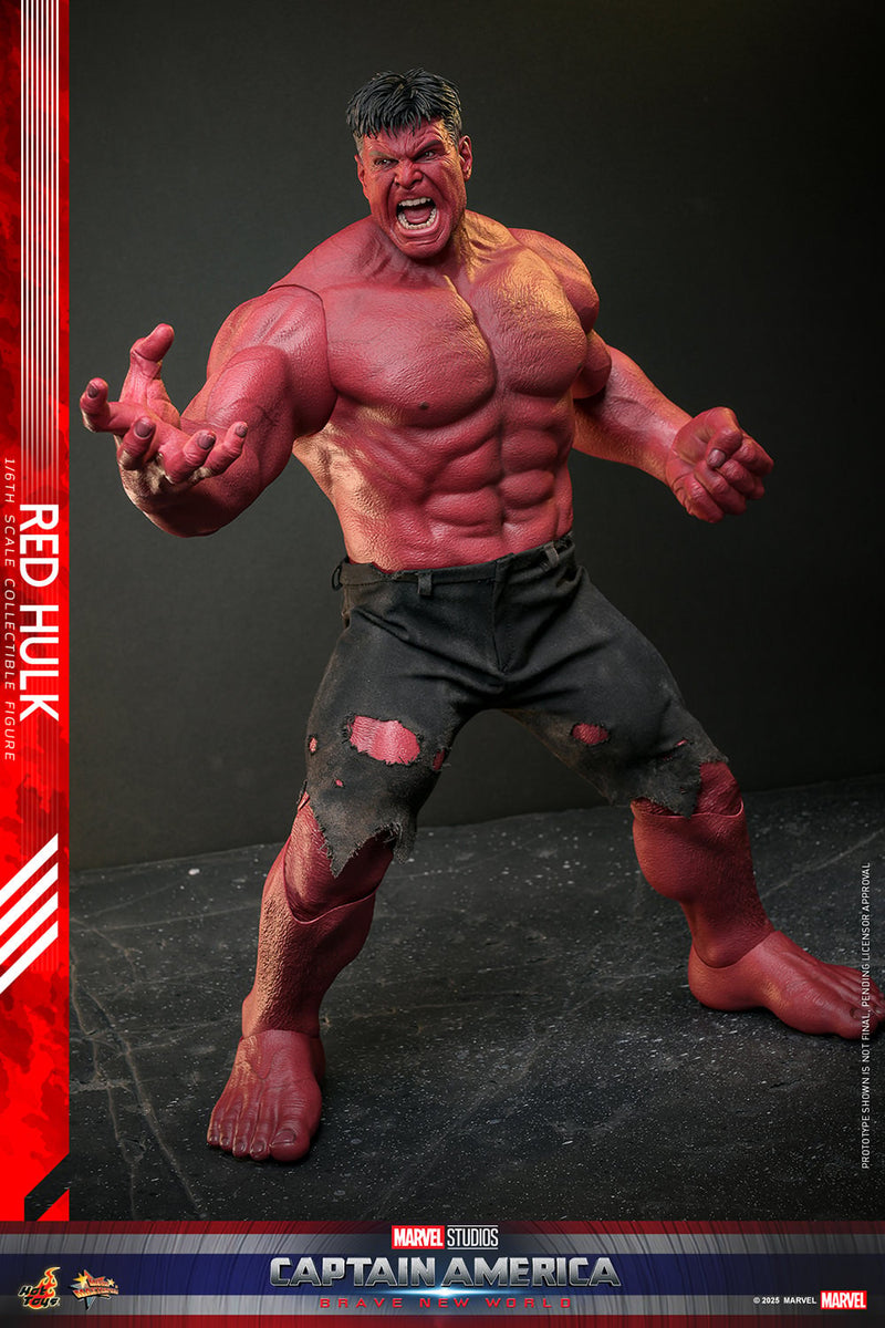 Red Hulk (Captain America: Brave New World) Sixth Scale Figure by Hot